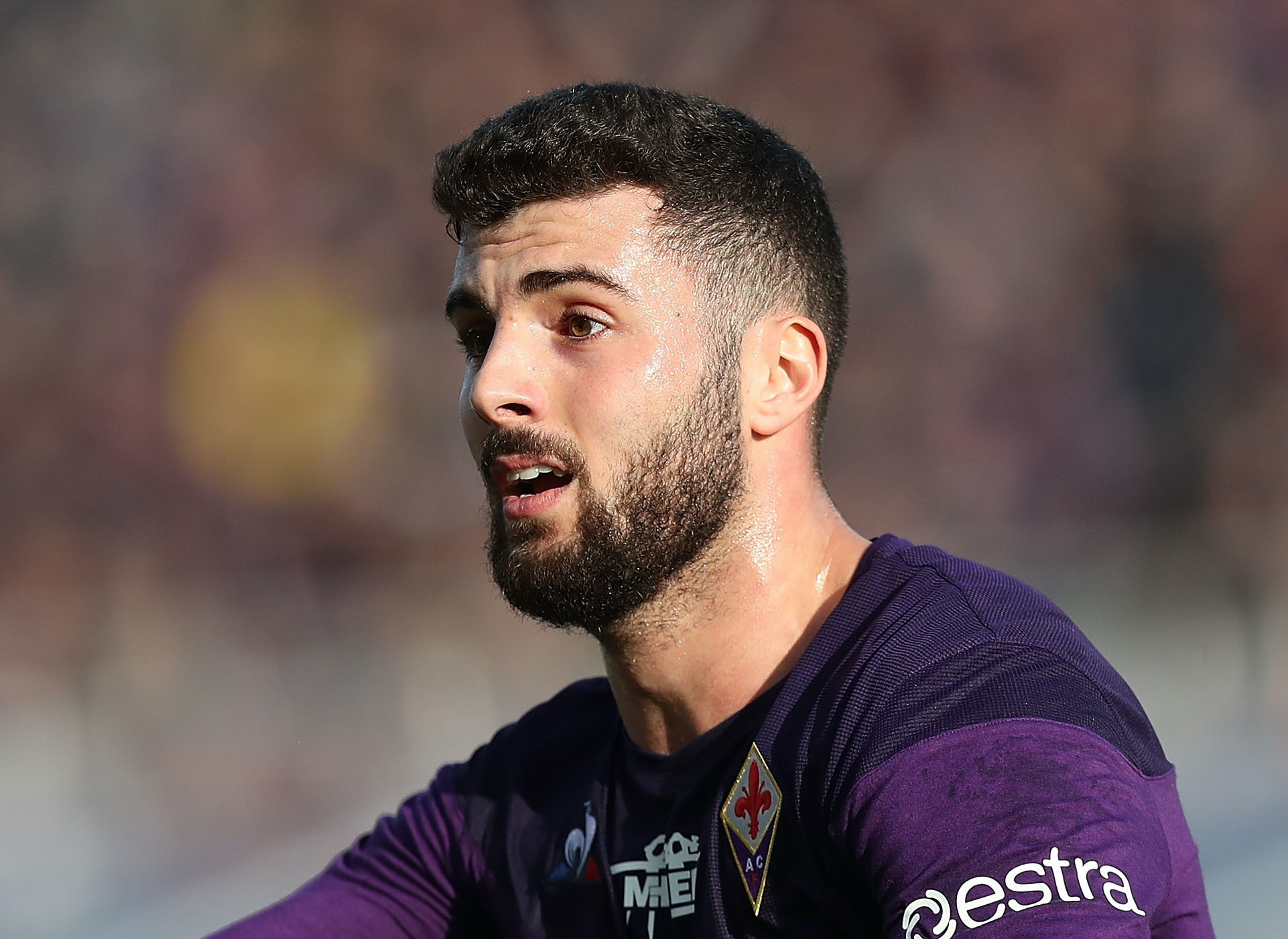 Fiorentina, ufficiale: Cutrone torna al Wolverhampton Fiorentina, ufficiale: Cutrone torna al Wolverhampton