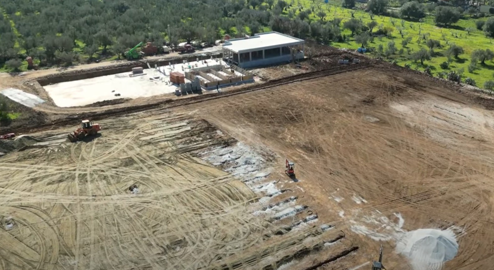 Palermo, allenamenti a Torretta: c'è la data. Il prato del 'Barbera'...